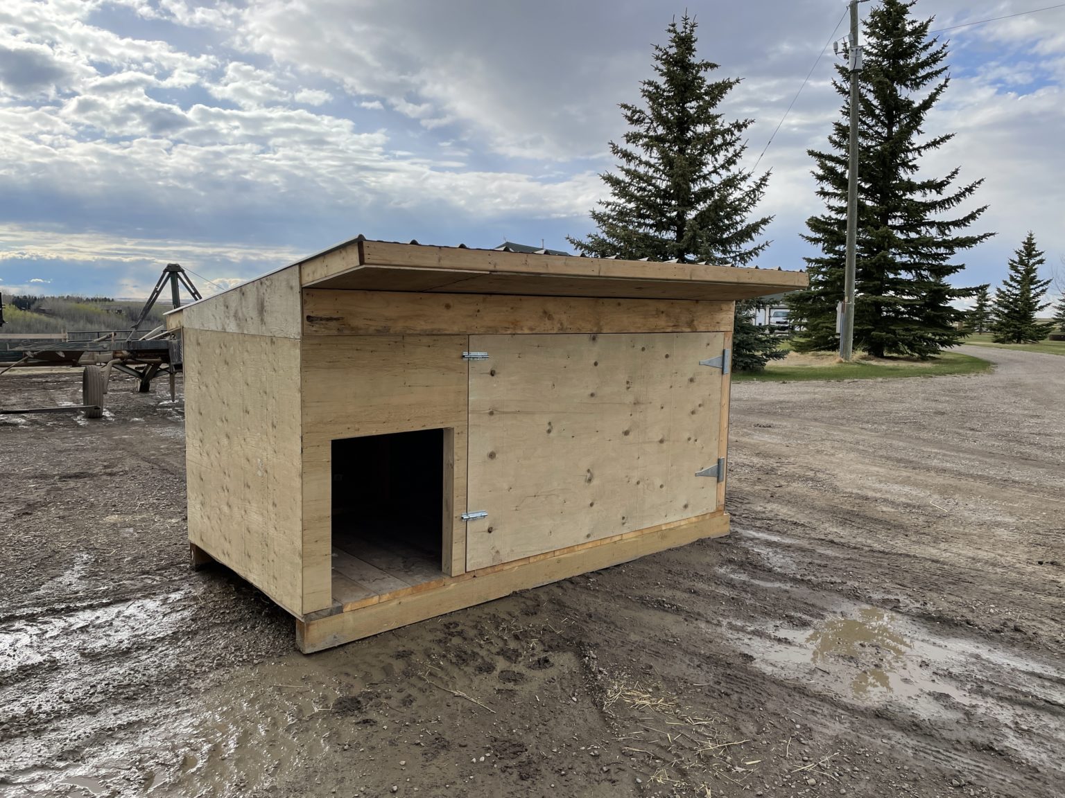 Housing & Shelter - Small Scale Pig Farming