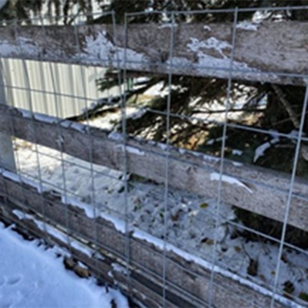 Fencing - Small Scale Pig Farming