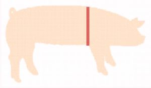 Finishing Pigs - Small Scale Pig Farming