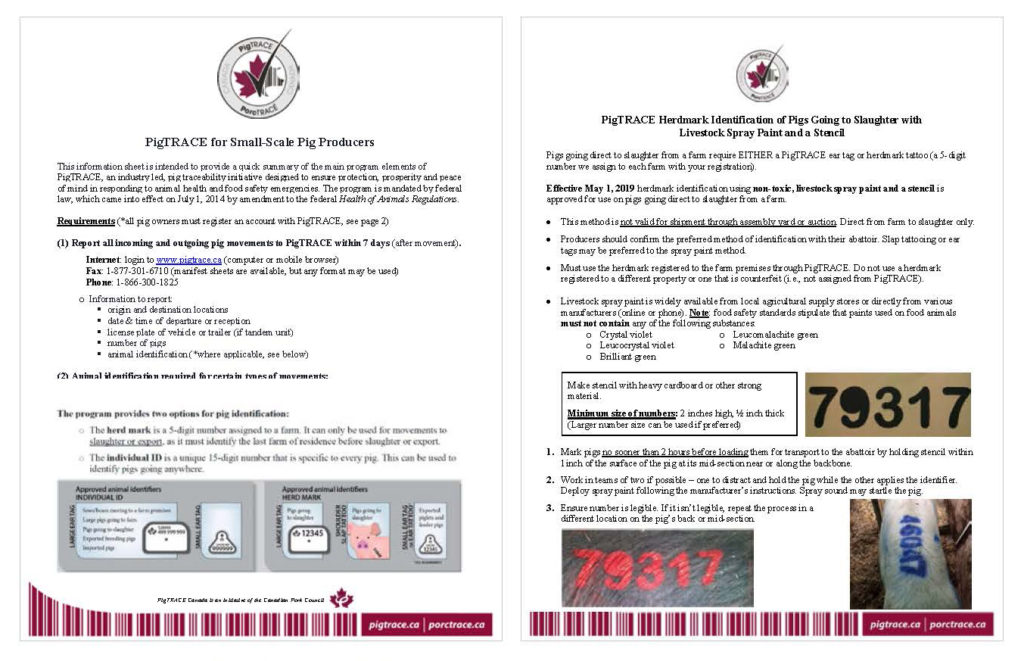 Requirements - Small Scale Pig Farming