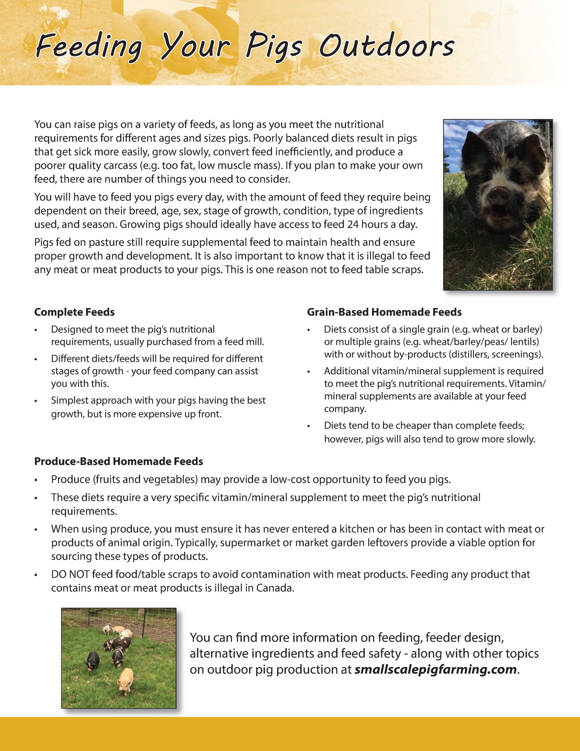 Fact Sheets - Small Scale Pig Farming